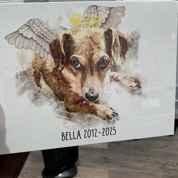 Custom Memorial Pet Drawing, Pet Portrait From Photo, Painting ...