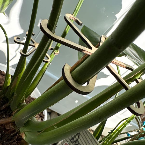 Monstera Shaped Plant Support for Smaller Indoor Potted House Plants ...