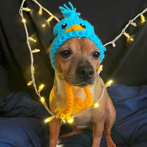 Uncle Sam Hat for Cats 4th of July Cat Accessory - Etsy
