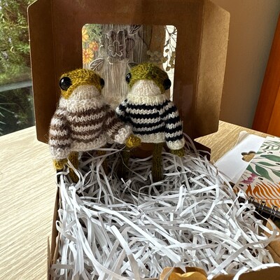 Knitted Frog in Dress Knitted Frog in Sweater Movable Froggy Frog and ...