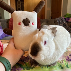 Wombat Stuffed Animal Handmade Plush Soft Toy Doll Cute - Etsy