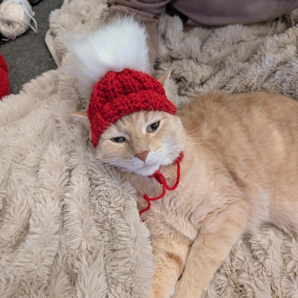 Crochet Pattern Summer Cat Bucket Hat Easy Beginner Crochet Cat Hat ...