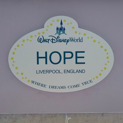 WDW Cast Member Badge Signs Name Tag SVG Disneyworld Cricut - Etsy