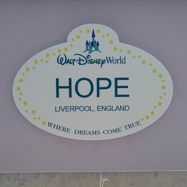 WDW Cast Member Badge Signs Name Tag SVG Disneyworld Cricut - Etsy