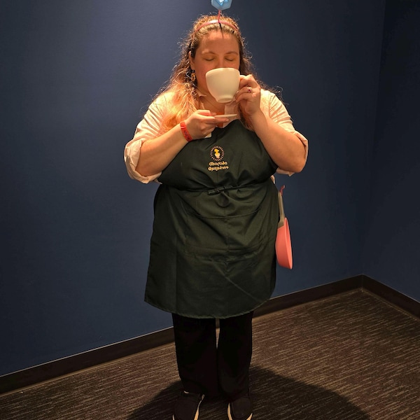 Final Fantasy XIV Meteor Decal - Etsy