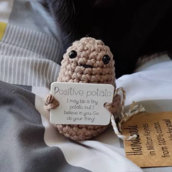 Positive Potato - the Original| Affirmation, Novelty Doll/figure ...