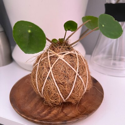 Vintage Envelope Letter Packs Antique Style Blank Letter With - Etsy