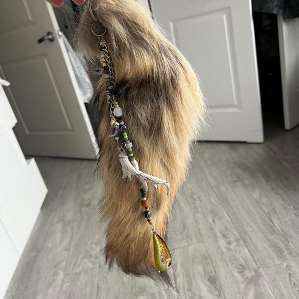 North American Theriotypes Sticker Sheet Therians Nature Stickers - Etsy