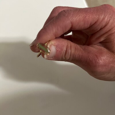 Dried Fern Ring, Resin Plant Ring, Botanical Jewelry, Real Flower Ring ...