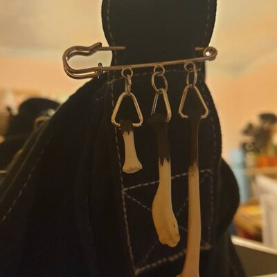 Real Mole Bone Displays. Bone Display. Mounted Mole Bones. - Etsy UK