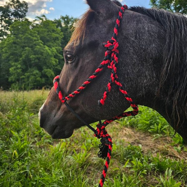 Mule Tape Horse Halter With Rope Noseband - Etsy