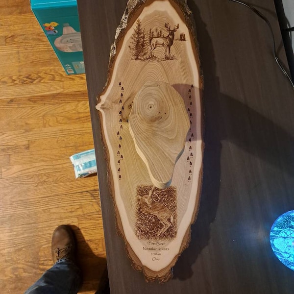 European Mount, Photo Engraved Hunting Plaque, Deer Skull Mount ...