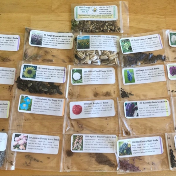 100 RED RASPBERRY Rubus Idaeus Fruit Bush Vine Seeds - Etsy