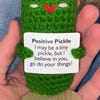 Emotional Support Pickle,positive Pickle,big Fan Pickle,handmade ...