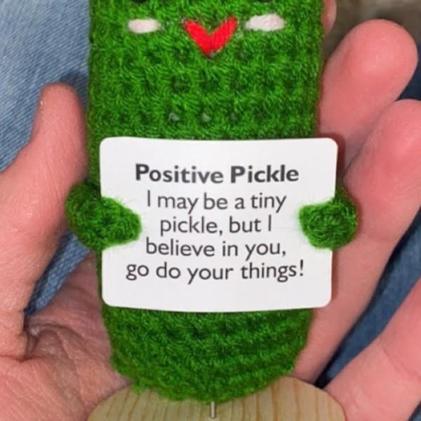 Emotional Support Pickle,positive Pickle,big Fan Pickle,handmade ...