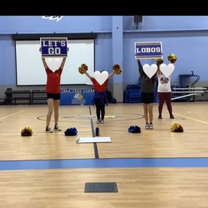 Cheerleading Spirit Stick, Spirit Stick Cheer, Team Gifts Cheer, Pep ...