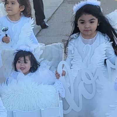 Girls White Swan Tulle Dress Junior Flower Girls Dress White Tutu Ball ...