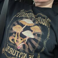 GS Aristo Vanity License Plate Japanese VIP Luxury Car Aesthetic Plate ...