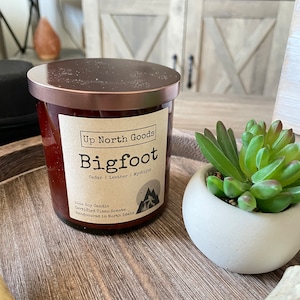 Please Light When Pooping Soy Candle - Etsy