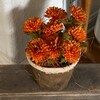 NEW Early Primitive Flowers Grubby Sunflowersmake Do Needfulcabinet ...