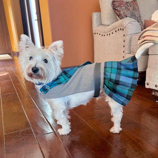 Balmoral Bonnet Dog Hat, Dog Hat, Caubeen Dog Hat, Dog Cap, Dog Bonnet ...