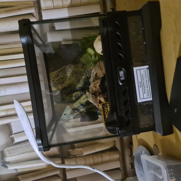 Small Terrarium Label Laminated Enclosure Label Exotic Pet Informative ...