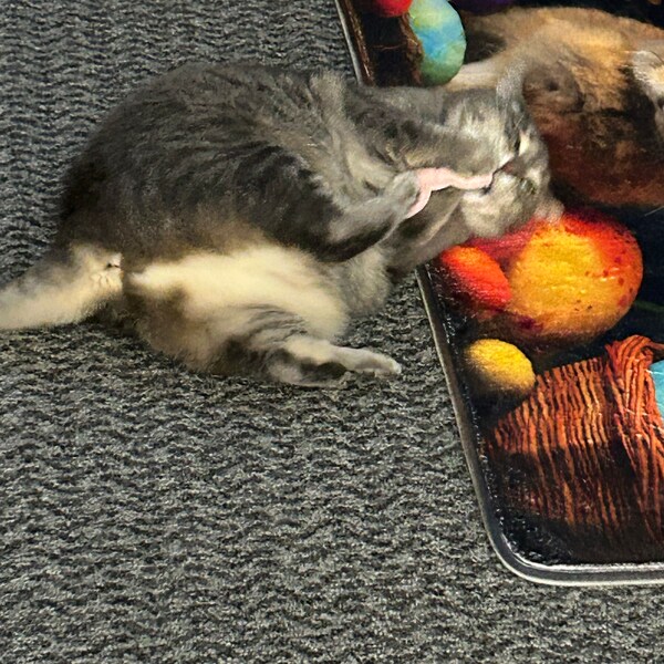 Dinosaur Finger Puppets With Coordinating Volcano Bag Fun and ...