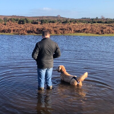 Dog Hygiene Knickers / Dog Season Pants Handmade by Me MADE TO ORDER by ...