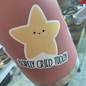 Funny Cat Sticker Self Care Sticker Animal Stickers Cat - Etsy