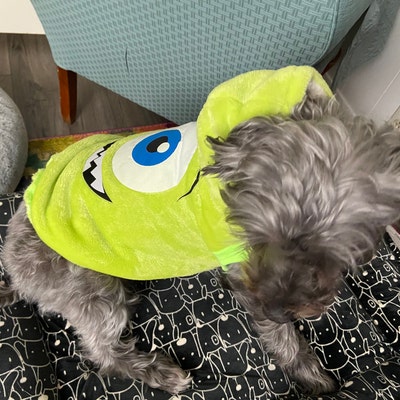 Baja Dog Poncho SIZE 3-mexican Dog Hoodie-mexican Poncho dog Sweater ...