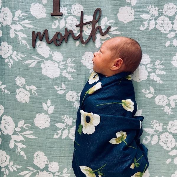 Baby Monthly Milestone Wood Cutouts - Baby Shower Gift - Monthly Photo ...