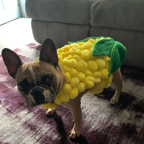 CORN DOGS or Kitty Corn!? Corn Coat for Cats & Dogs - Etsy