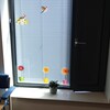 Flower Pots Window Stickers - 10 Individual Colourful Flowers in Pots ...