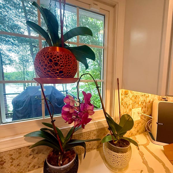 Strawberry Red Hanging Orchid Pot - Etsy
