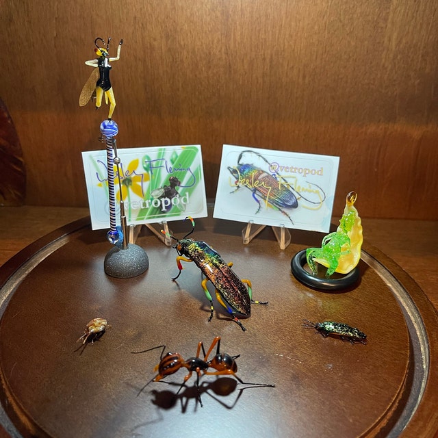 Lampworked Glass Creatures made by Wesley Fleming by vetropod