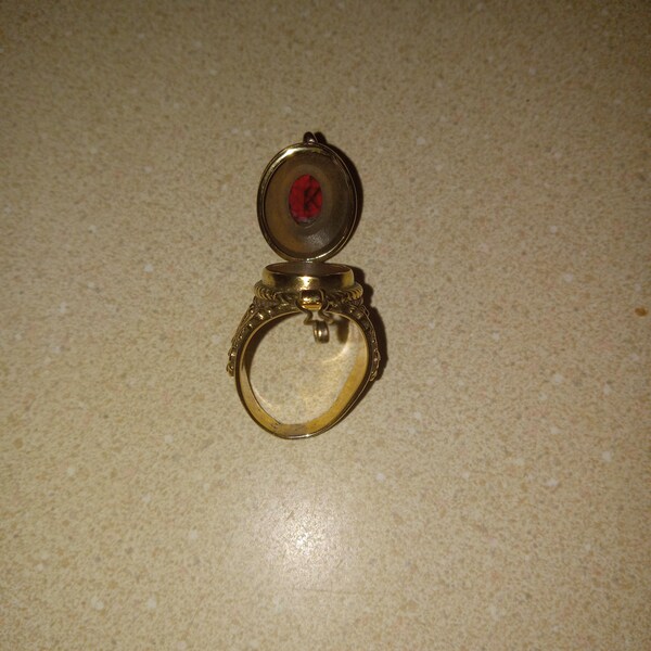 Silver Skull Ring, Skull Ring, Skeleton Ring, Gothic Ring, Horror Ring ...