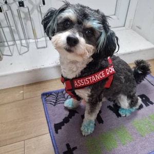 Fidget Case Blue Badge Holder ANY COLOUR - Etsy