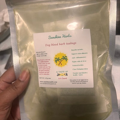 Jamaican Duck Flower Capsules Aristolochia Grandiflora Fresh Harvest ...