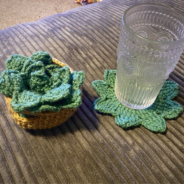 Crochet Succulent Coasters in a Basket Pattern - Etsy
