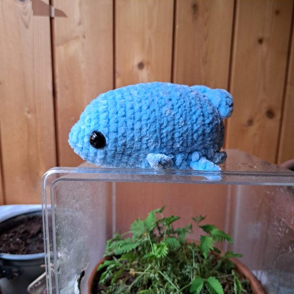 Baby Isopod - Etsy