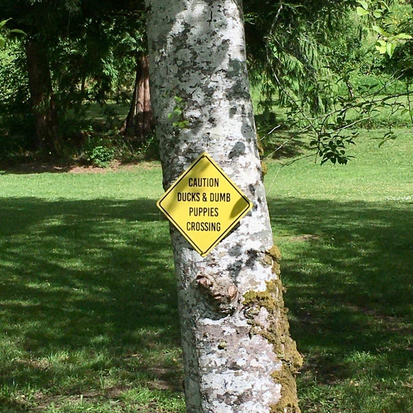 Custom Crossing Sign, Custom Xing Sign, Metal Sign, Aluminum Sign, Man ...