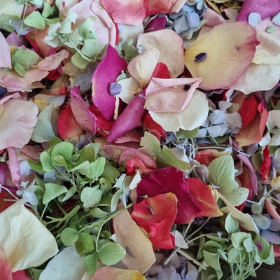 One Cup Petal Sample...choose YOUR Color FREE USA Shipping Wedding ...