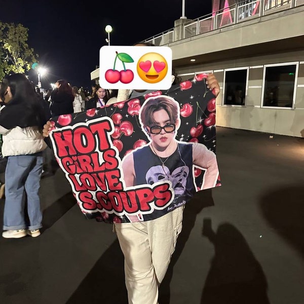 SKZ Hyunjin Hot Girls Concert Banner, Stray Kids Members Kpop Flag, Skz ...