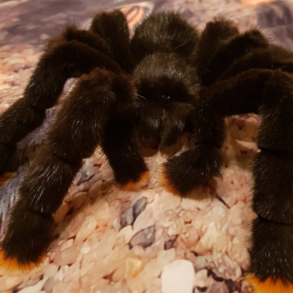 Realistic Tarantula Spider, Poseable Shelf Decor, Wall Mountable Faux ...