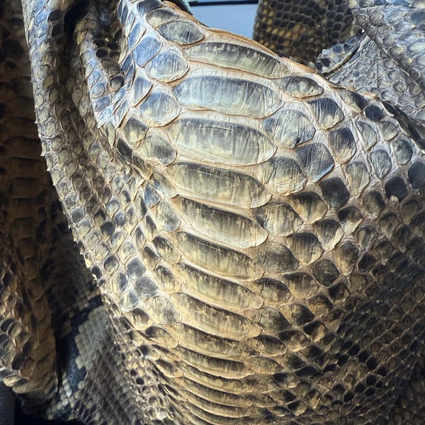 Top Handle Black Classy Genuine Python Skin Big Bag | Exotic Leather ...