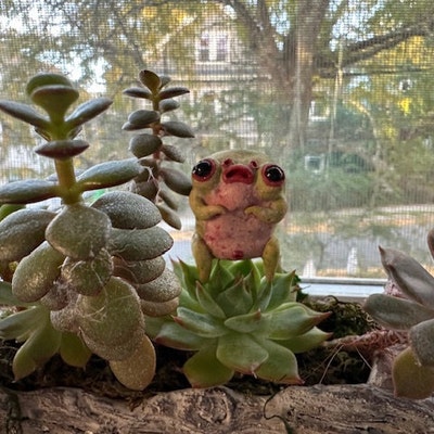 Mini Harpy Fetusoid - Etsy