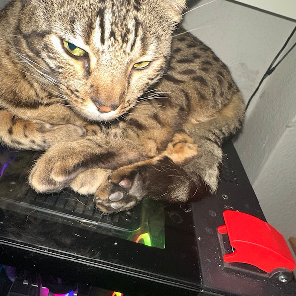 Missile Switch Gaming PC Case Power Cover - Cat Protector - Etsy