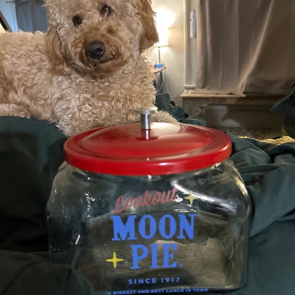 Sunbeam Bread Counter Jar & Lid Country Store Display Cookie Jar Candy ...