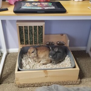 Large W/ Back Bowls Hop Box: Rabbit Bunny Hay Feeder and Litter Pan ...