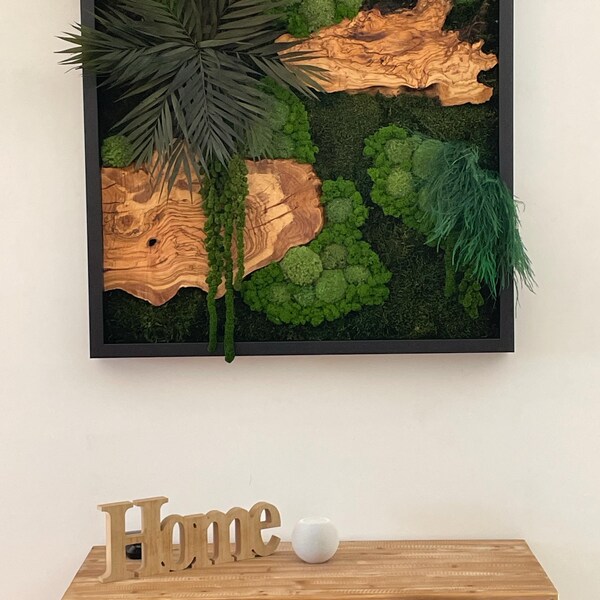 Colorful Moss Picture, Wooden Frame, Moss Art, Home Decoration - Etsy